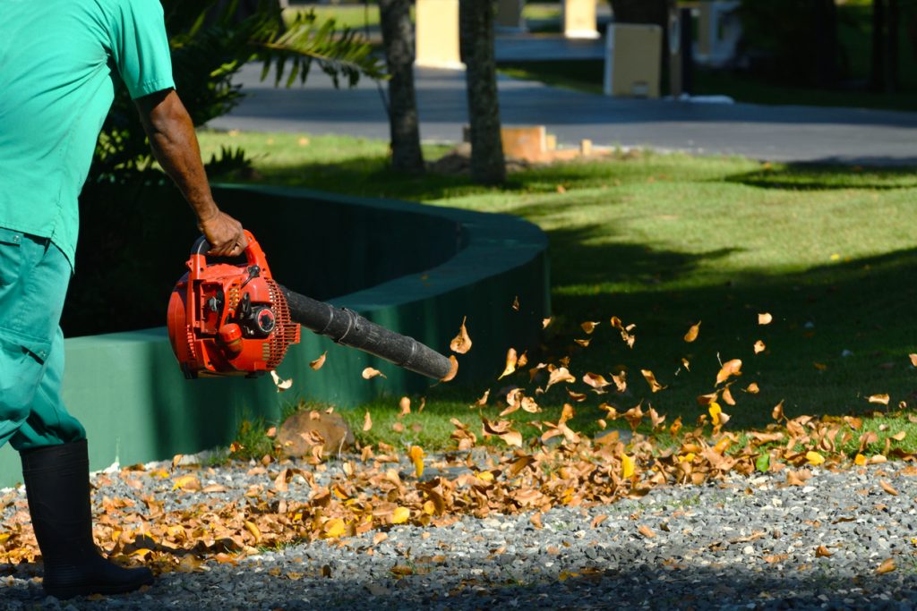 Filtro anaeróbio: tudo que você precisa saber sobre o assunto | taQi ...