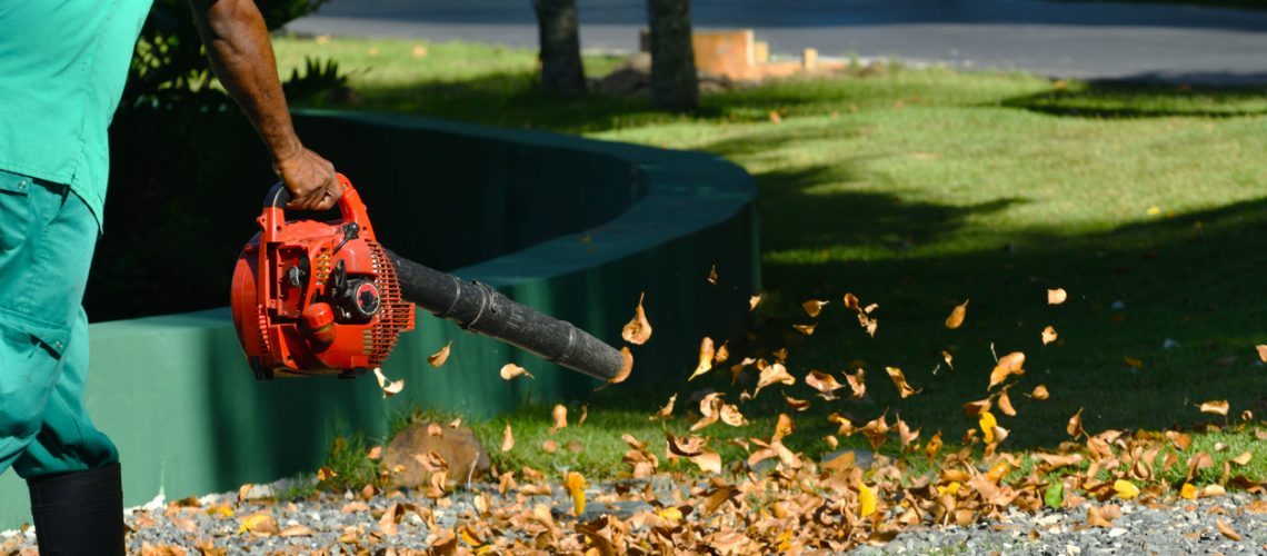 Soprador de folhas: escolha o melhor para sua empresa | taQi Empresas